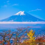 Tokyo: Mount Fuji Full Day Private Customized Tour - The Logistics: How the Day Unfolds