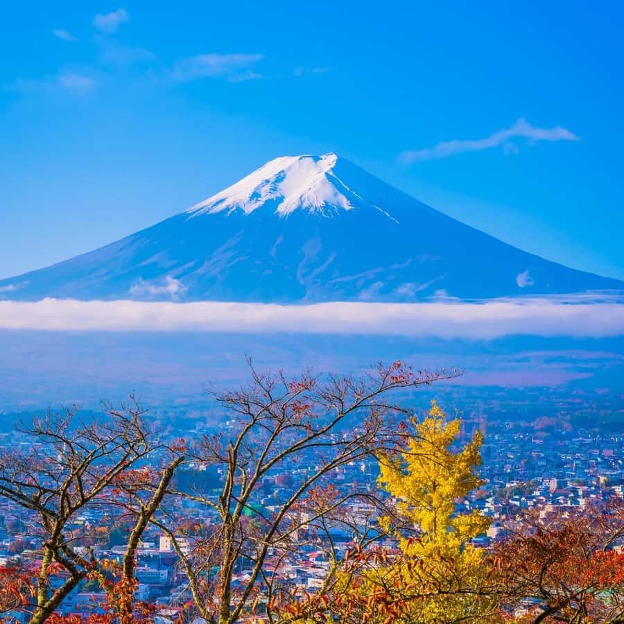 Tokyo: Mount Fuji Full Day Private Customized Tour - The Logistics: How the Day Unfolds