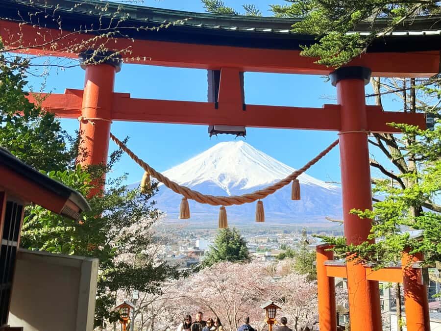 Tokyo: Mount Fuji Full Day Private Customized Tour - The Real Value for Travelers