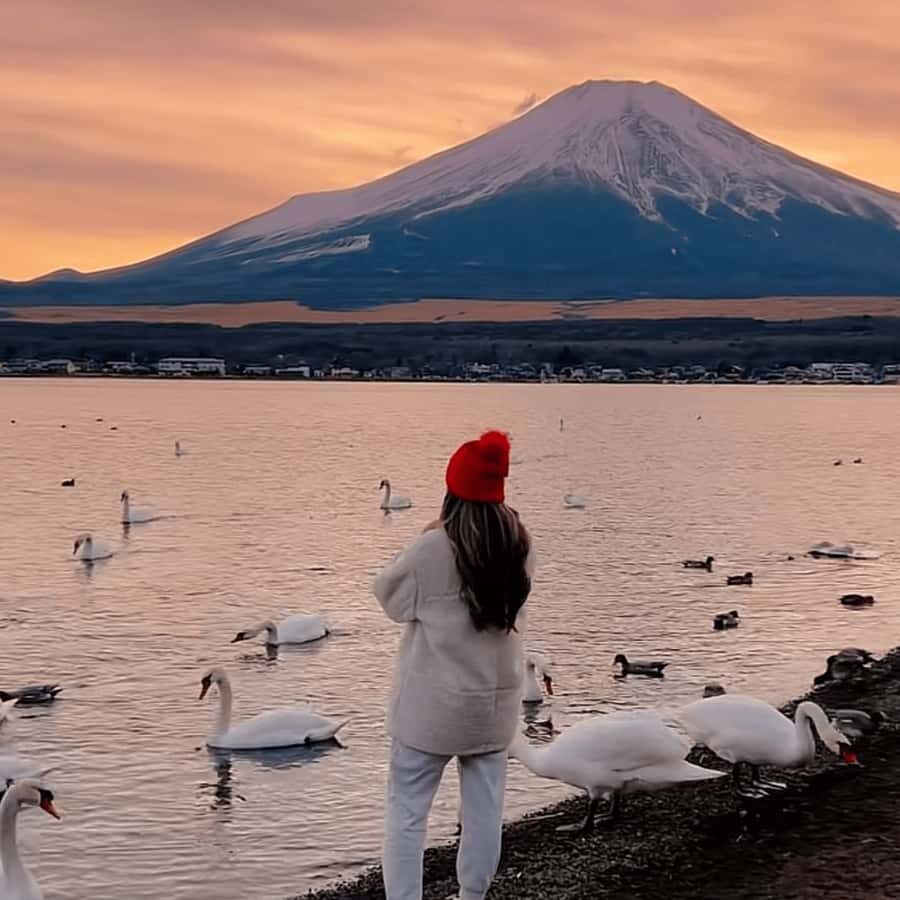 Tokyo: Mount Fuji Must See Private Tour Adjustable Itinerary - The Itinerary in Detail