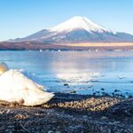 Tokyo: Mount Fuji One Day Trip Lake Kawaguchi & Lake Yamanaka - Who Will Love This Tour?