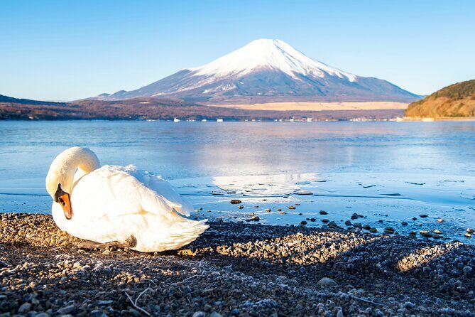Tokyo: Mount Fuji One Day Trip Lake Kawaguchi & Lake Yamanaka - Who Will Love This Tour?