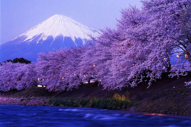 Tokyo: Mt Fuji 3 Lakes Day Trip Secret Spots and Seasonal View - A Deep Dive into the Itinerary