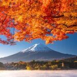 Tokyo: Mt. Fuji 5th Station, Kawaguchiko Tour w/ Boat Ride - Authentic Experiences and Practical Details