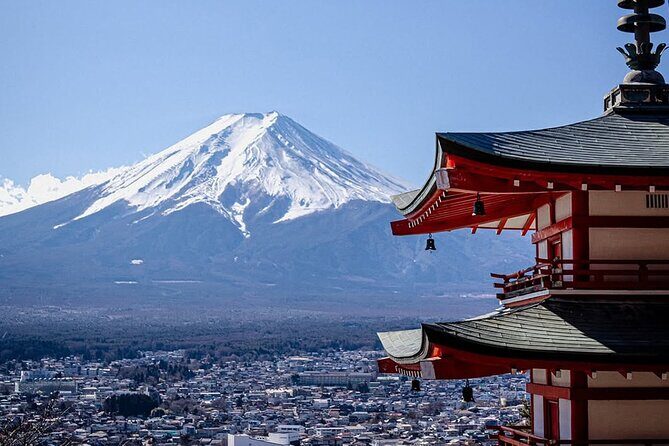 Tokyo Mt Fuji and Hakone Private Tour with English Driver - The Value of a Private Driver