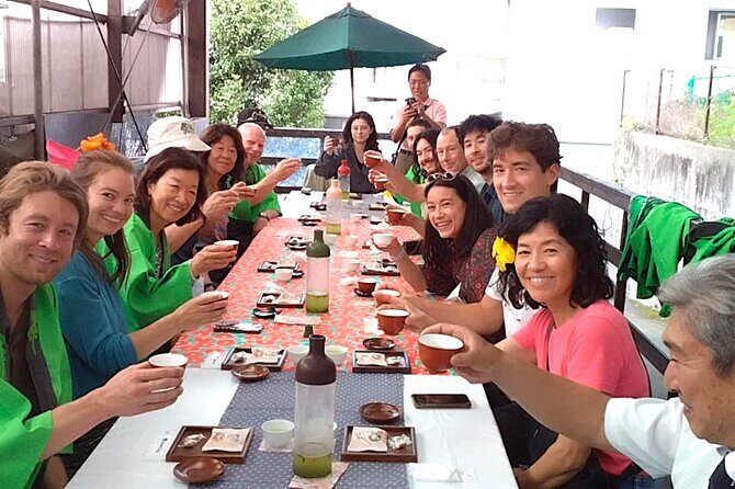 Tokyo: Mt. Fuji Cherry Blossoms and Tea picking Tour - The Value of This Tour