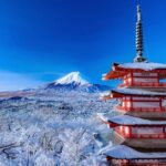 Tokyo: Mt Fuji Chureito Pagoda Lake Kawaguchi&Oshino Hakkai - The Value of This Tour