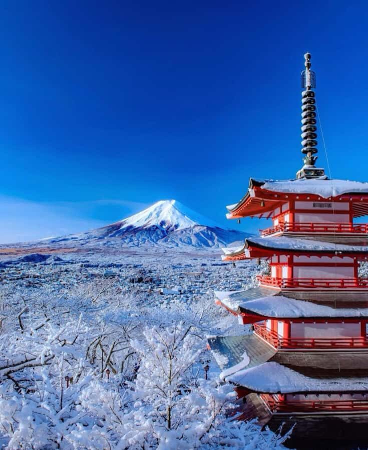 Tokyo: Mt Fuji Chureito Pagoda Lake Kawaguchi&Oshino Hakkai - The Value of This Tour