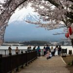 Tokyo: Mt Fuji Customizable Private Tour By English Driver - The Practical Aspects of the Tour