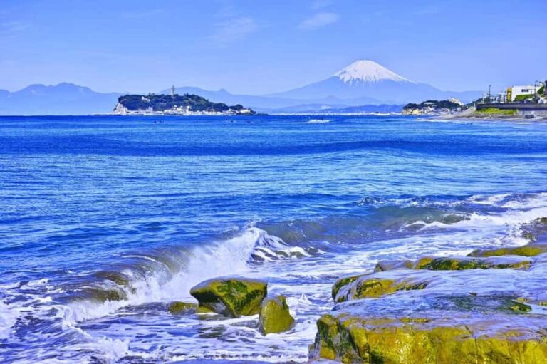 Tokyo: Mt Fuji & Hakone & Enoshima Tour, Owakudani Ropeway - The Highlights in Detail