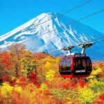 Tokyo: Mt Fuji & Hakone Ninja Cruises & Ropeway Tour - The Ninja Amphibious Bus Experience