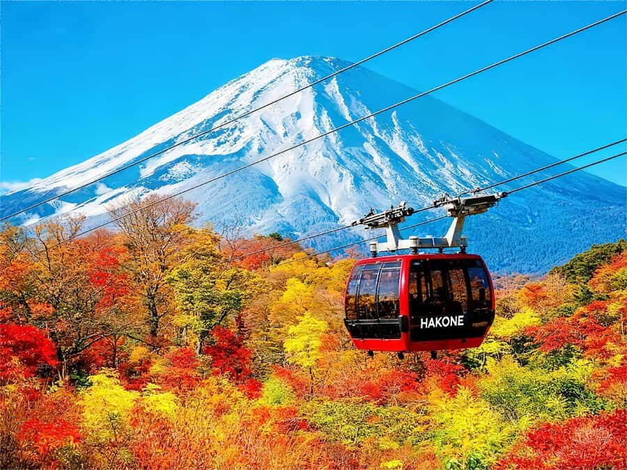 Tokyo: Mt Fuji & Hakone Ninja Cruises & Ropeway Tour - The Ninja Amphibious Bus Experience