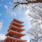 Tokyo: Mt. Fuji & Hakone One-Day Private Tour - What Travelers Can Expect