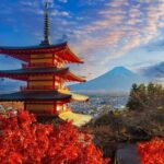 Tokyo: Mt. Fuji, Kawagoe, & Hikawa Shrine Day Trip - Practical Details: Timing, Transportation, and Value