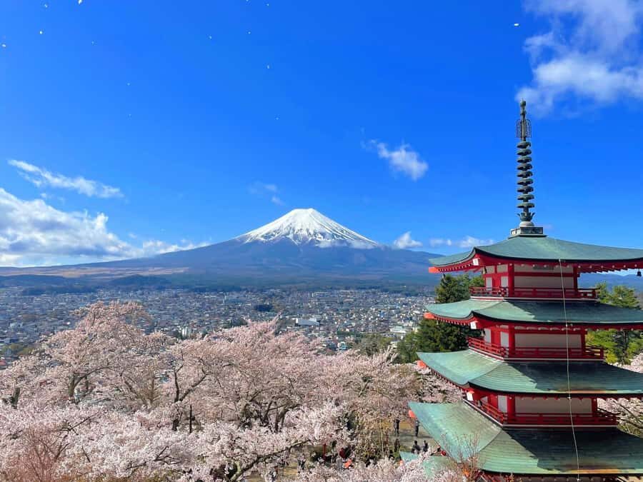 Tokyo: Mt Fuji, Lake Cruise and Noodles Making Experience - The Culinary Experience: Noodles and Local Flavors