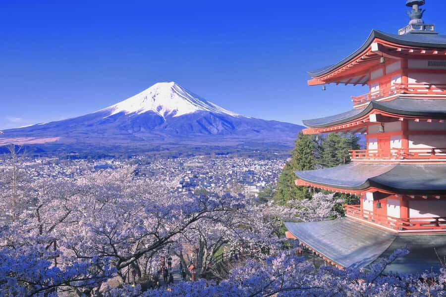 Tokyo: Mt. Fuji & Lake Kawaguchi Small Group Tour - 6 Spots - Frequently Asked Questions