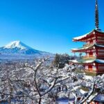 Tokyo: Mt. Fuji & Lake Kawaguchiko 1Day Bus Tour without Lunch - Transportation and Logistics: No Surprises