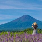 Tokyo: Mt. Fuji, Makaino Farm, and Lake Kawaguchi Tour - About the Logistics