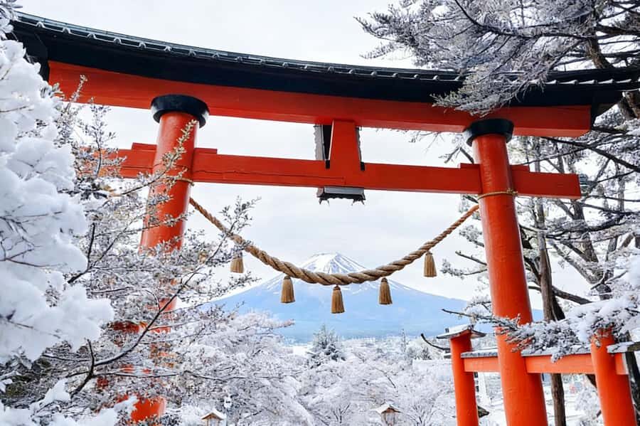 Tokyo: Mt Fuji & Oishi Park &Lake Kawaguchi & OshincHakkai - Lake Yamanaka: The Mirror of Fuji