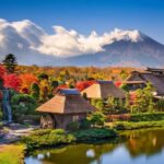 Tokyo: Mt Fuji One-Day Private & Customizable Tour - The Comfort and Convenience Factor