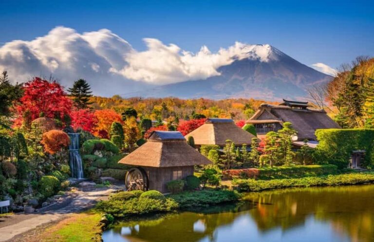 Tokyo: Mt Fuji One-Day Private & Customizable Tour - The Comfort and Convenience Factor