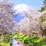 Tokyo: Mt Fuji & Oshino Hakkai & Lake Kawaguchi & Oishi Park - An In-Depth Look at the Tour Experience
