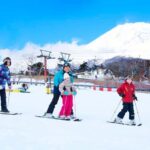 Tokyo: Mt. Fuji Yeti Ski, Hot Spring & Fruit Picking Tour - Who Should Consider This Tour?