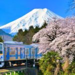Tokyo: Mt. Fuji,Kawaguchi Lake,Scenic Cruise & Fujikyu Train - Lake Kawaguchi: Nature, Views, and Optional Adventures