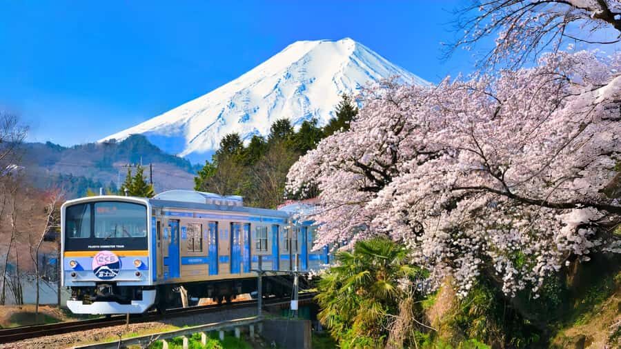 Tokyo: Mt. Fuji,Kawaguchi Lake,Scenic Cruise & Fujikyu Train - Lake Kawaguchi: Nature, Views, and Optional Adventures
