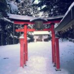 Tokyo: Nagano Private Day Trip with Snow Monkeys - Transport and Guide Experience