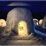 Tokyo: Nagano Private Tour with Igloo Village & snow Monkeys - The Itinerary Breakdown