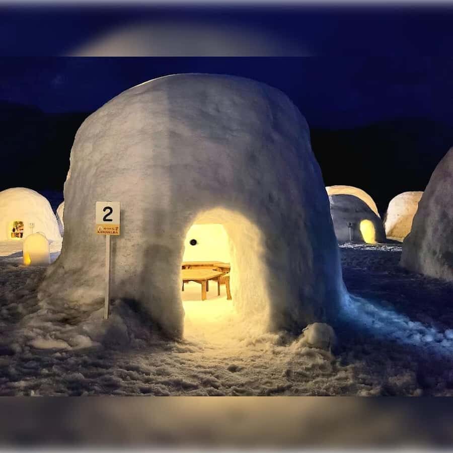 Tokyo: Nagano Private Tour with Igloo Village & snow Monkeys - The Itinerary Breakdown