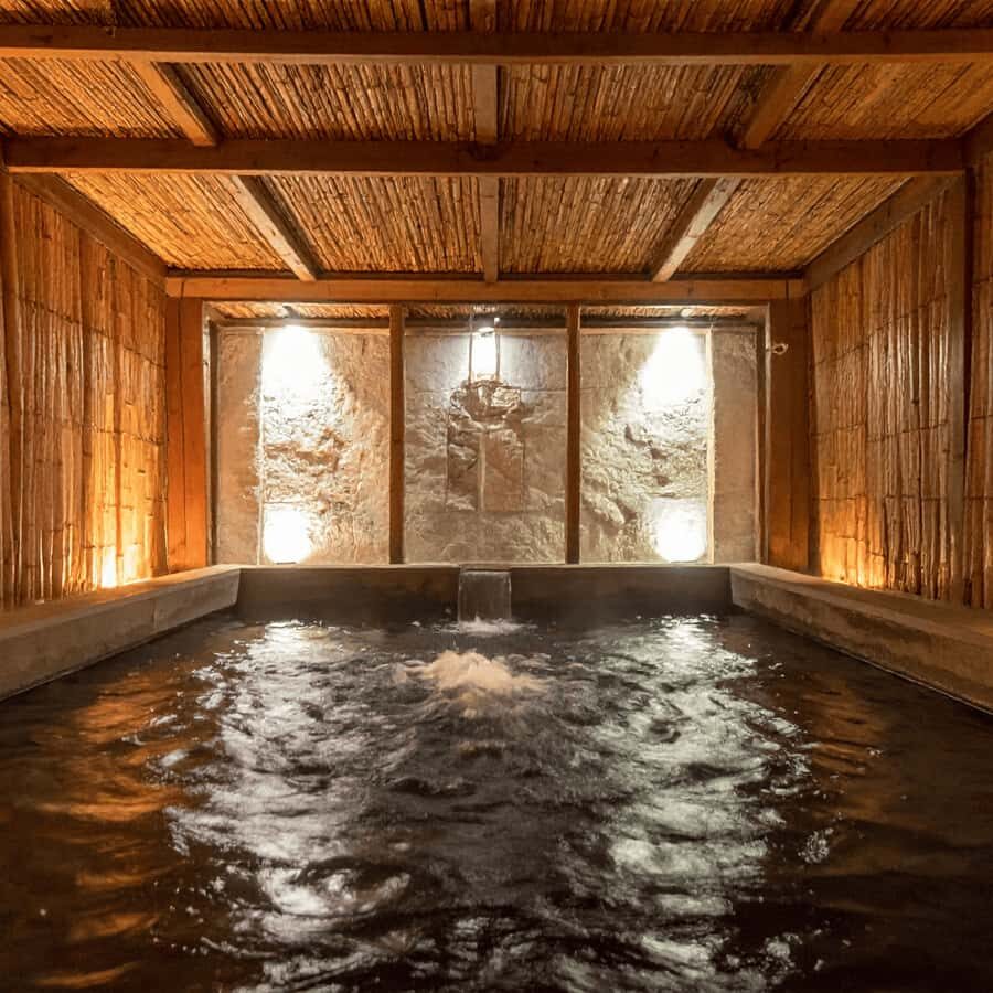 Tokyo / Nagano: Snow Monkeys Private Tour Hotel Pick & Drop - Who Should Book This Tour?