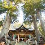 Tokyo: Nagatoro, Mitsumine Shrine & Waterfalls One-Day Tour - Practical Details and What to Expect
