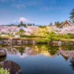 Tokyo: New Views of Mt. Fuji Cherry Blossoms & Tea Picking - The Value of This Tour
