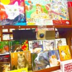 Tokyo Night Cat Tour: Cat Bookstore, Shinjuku Cat Cafe & 3D Cat - Breaking Down the Itinerary