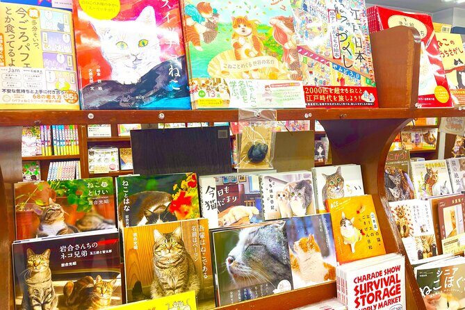 Tokyo Night Cat Tour: Cat Bookstore, Shinjuku Cat Cafe & 3D Cat - Breaking Down the Itinerary