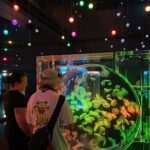 Tokyo Night E-Bike Tour with Tokyo Tower and Dolphin Show - Why This Tour Might Be Perfect for You