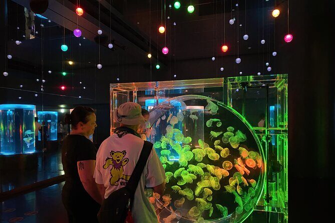 Tokyo Night E-Bike Tour with Tokyo Tower and Dolphin Show - Why This Tour Might Be Perfect for You