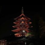 Tokyo Night Private Tour With English Speaking Driver - The Itinerary: What to Expect