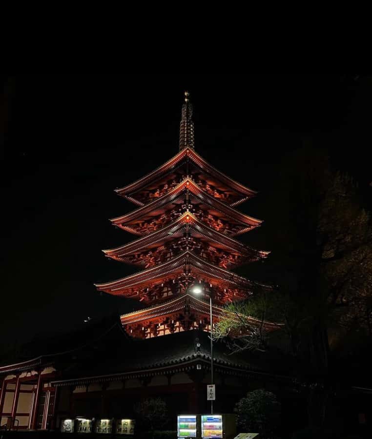 Tokyo Night Private Tour With English Speaking Driver - The Itinerary: What to Expect