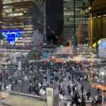 Tokyo Night Walk: Shibuya & Shinjuku Hidden Alleys - Shinjuku: The Nightlife Heartbeat