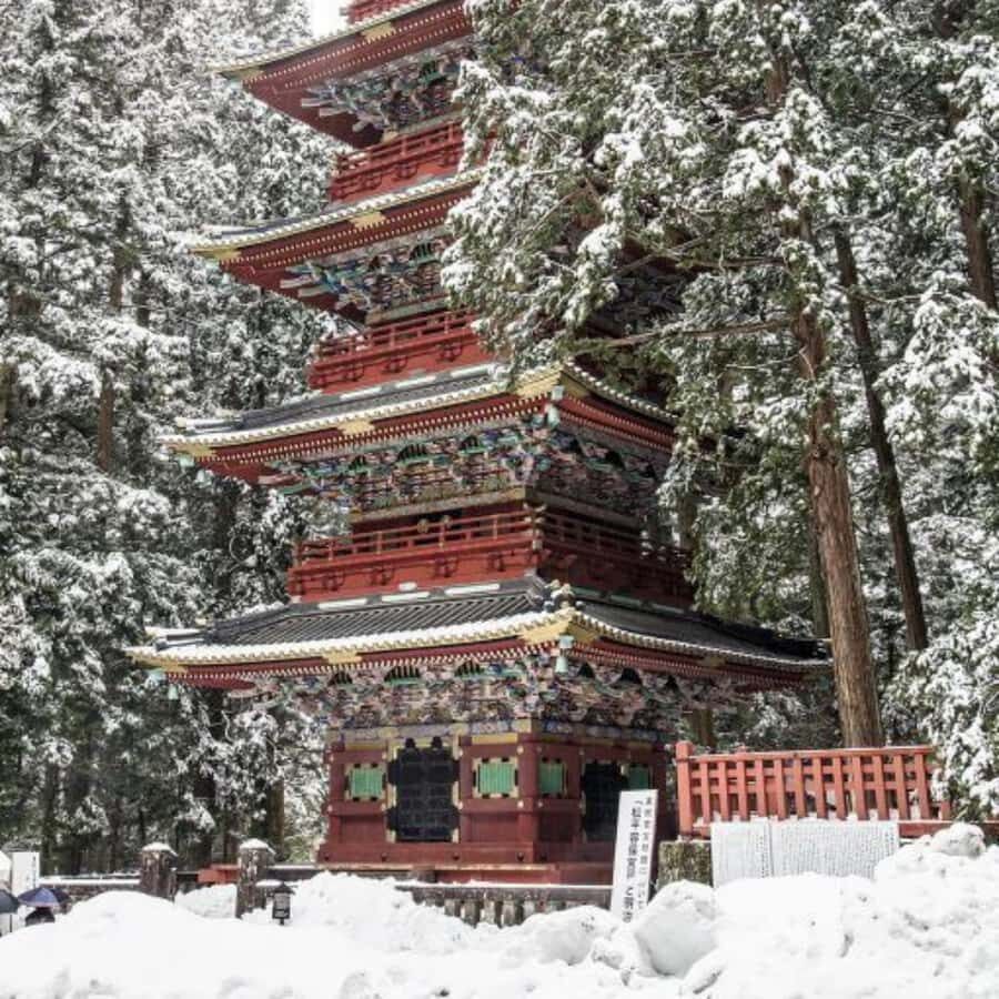Tokyo: Nikko Chzen-ji Temple Private Full Customizable Tour - Scenic Highlights and Cultural Stops