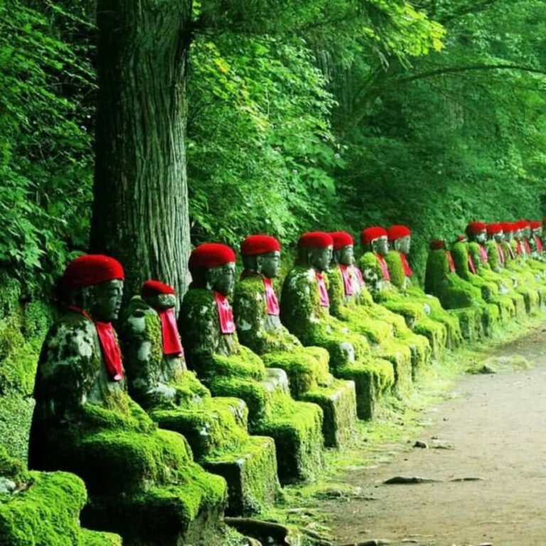 Tokyo: Nikko National Park Private Tour Customised Itinerary - Who Will Love This Tour?