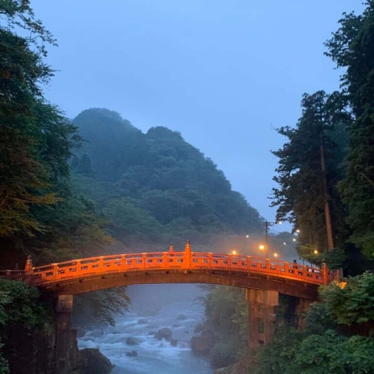 Tokyo: Nikko National Park Private Tour Hotel Pickup & Guide - Who Will Appreciate This Tour?