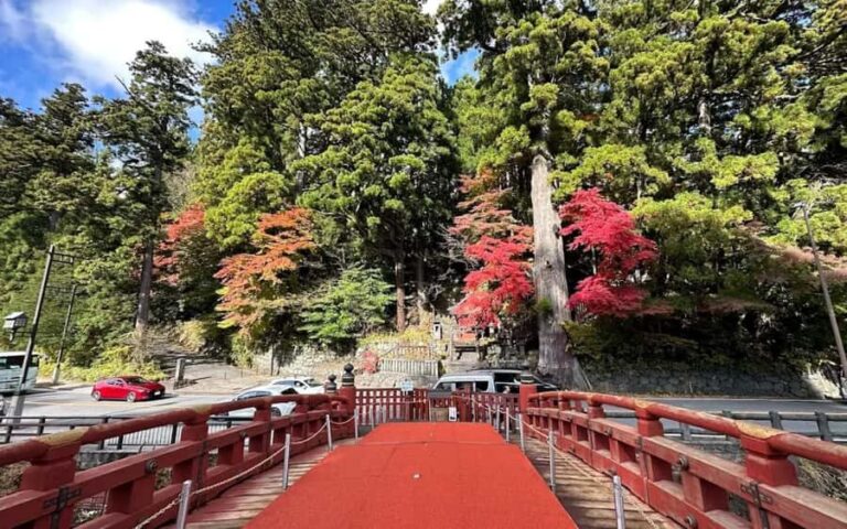 Tokyo: Nikko One Day Private & Customizable Tour - Cost and Value