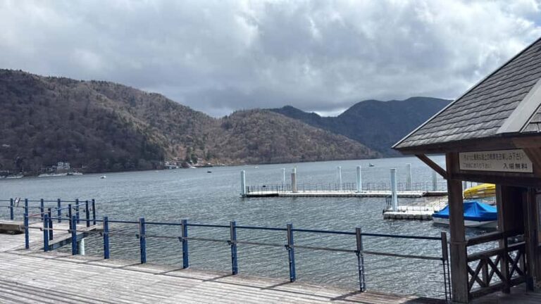 Tokyo: Nikko Private Day Tour with Pickup - The Experience and Its Practicalities