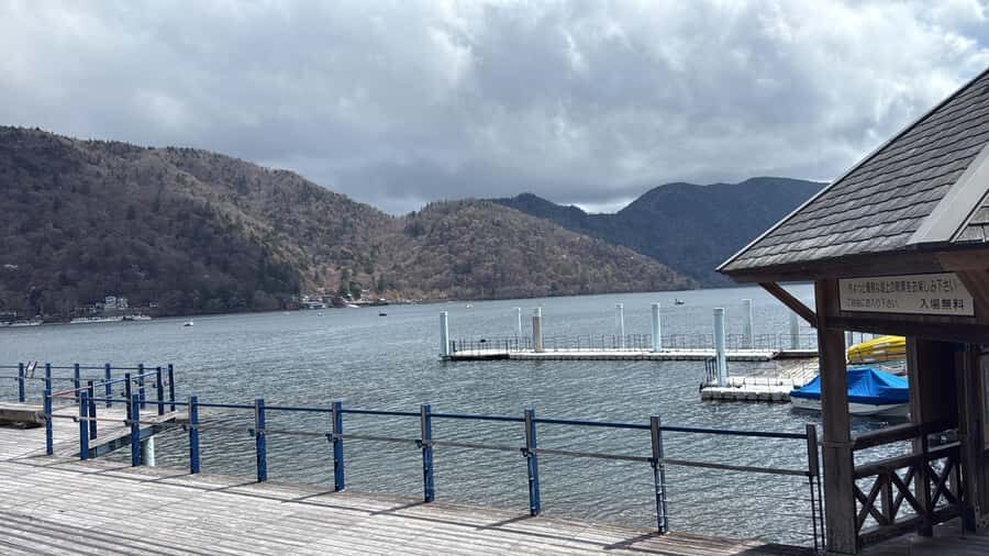 Tokyo: Nikko Private Day Tour with Pickup - The Experience and Its Practicalities