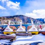 Tokyo: Nikko Shrines, Waterfalls & Scenic Day Trip - Is It Worth the Price?