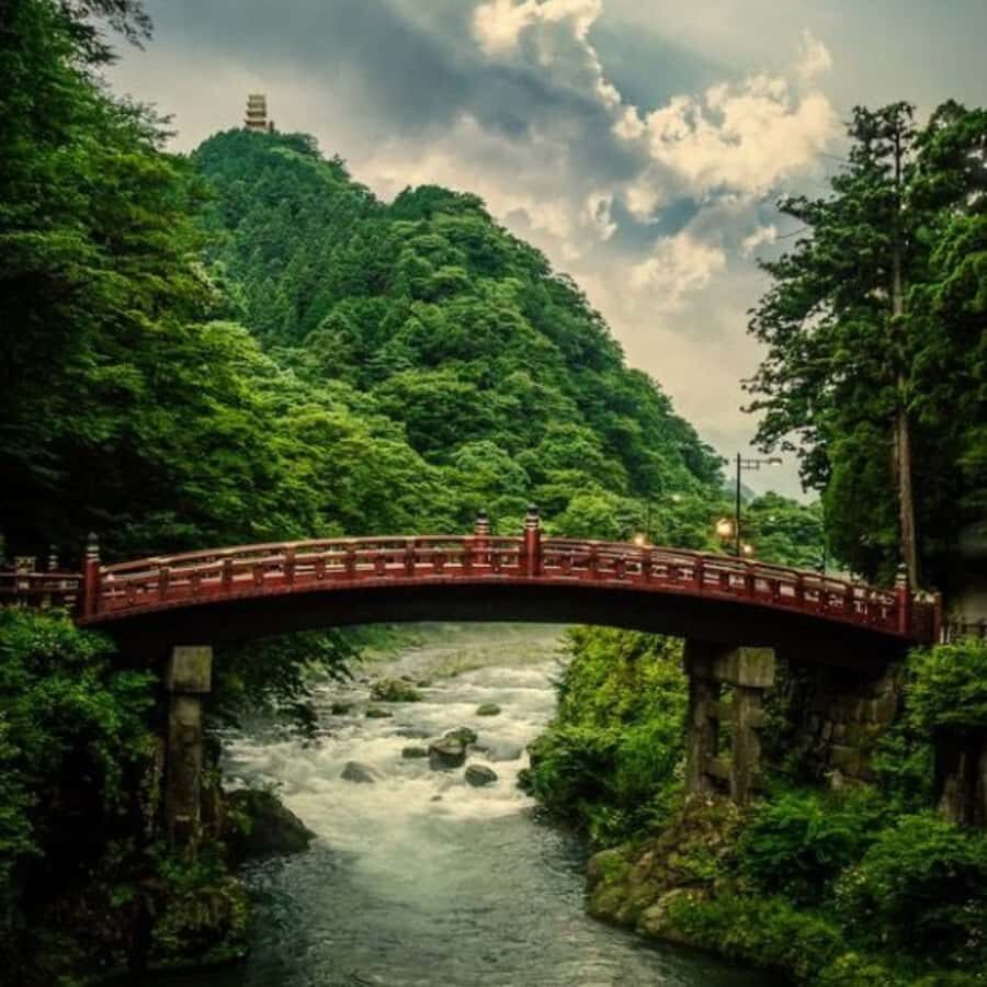Tokyo: Nikko Unesco World Heritage Private Tour Customizable - What Travelers Say